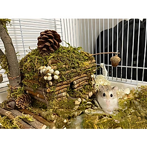 BGUNDI KHZYK 3.5oz Forest Hamster Moss & 1.76oz Hamster Flowers,Hamster Bedding Suitable for Dwarf Hamsters and Syrian Hamsters,Hamster Sprays,Hamster Habitat Decor for Hamster Cage Accessories