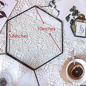 NCYP Medium Hanging Black Hexagon Herbarium Brass Glass Frame for Pressed Flowers, Dried Flowers, Poster, Double Glass, Side Length 5.8 inches Floating Frame, Glass Frame Only