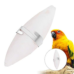 TEHAUX 12 pcs Bird Cuttlebone for Parakeets, Natural Cuddle Bone with Metal Holder, Chewing Cuttlefish Bone for Sharp Beaks, Natural Birds Calcium Suitable for Parrot Cockatiels Budgie Conures