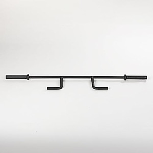 Titan Fitness Seal Row Bar v2, 28MM Medium Diamond Knurling Olympic Bar, Rated 700 LB, Home Gym Strength Training Bar Seal Row or Bench Pull Movements