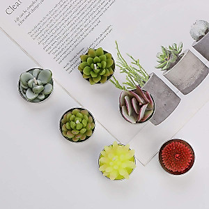 LJQizn 6pcs Cactus Tealight Candles Handmade Delicate Succulent Cactus Candles Tea Lights Perfect for Birthday Party Wedding Spa Home Decor Gifts (6pcs Cactus Candles)