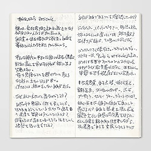 Traveler's Company Traveler's Notebook Refill 013, Lightweight Blank Paper, 128 Pages