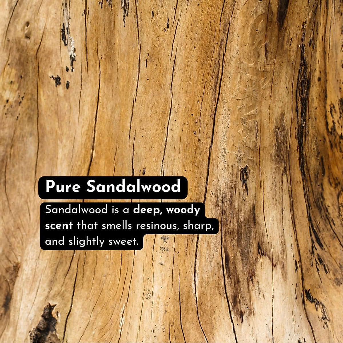 Herb & Root Sandalwood Perfume Oil Rollerball (Roll On) | Single Note Fragrance