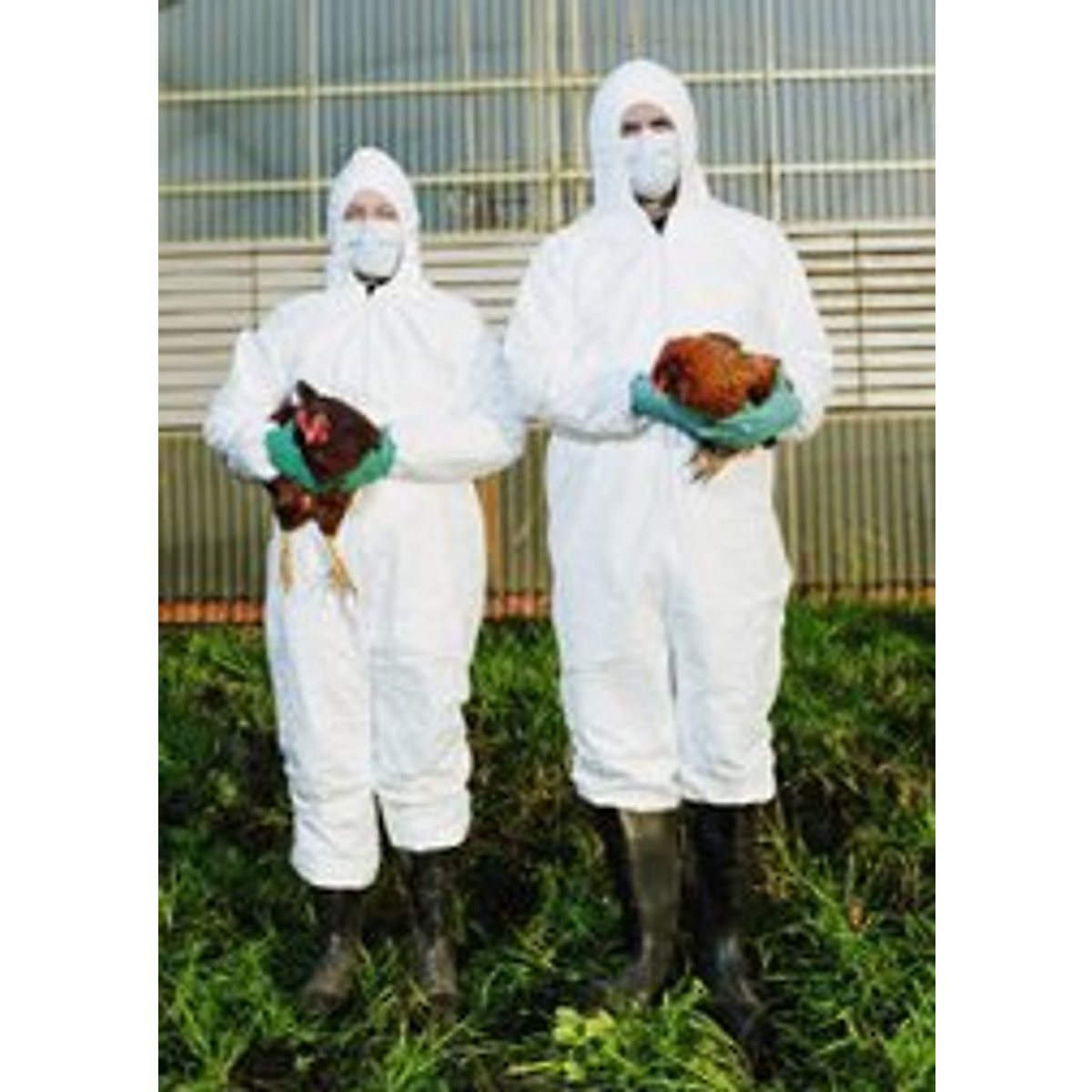 Tyvek Family Suit Assortment in M, L & XL, by Dupont