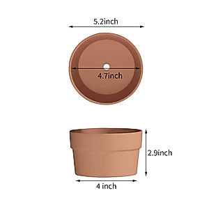 Fcacti 5 Inch Terracotta Shallow Succulent Pot - 8 Pack Medium Terra Cotta Clay Pots with Drainage Hole, Round Shallow Terra-Cotta Bonsai Pot for Indoor/Outdoor Plants