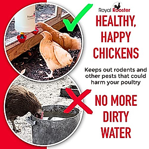 Royal Rooster 1 Gallon Automatic Twin Chicken Waterer with 2 Gravity-Feed Valve-Operated Drinking Cups - Indoor and Outdoor Coop Hanging Chicken, Duck and Poultry Water Dispensing System