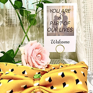 Tentop 20Pcs Place Card Holders Table Number Stand Table Name Cardholder, Photo Holder Sign Stands Display Wedding Decoration Centerpieces for Table, Menu Memo ClipsGold, HMTCH20GL