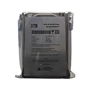 WL 3TB 7200RPM 64MB Cache SATA III 6.0Gb/s 3.5" Internal Desktop Hard Drive (For RAID, NAS, DVR, Desktop PC) w/1 Year Warranty