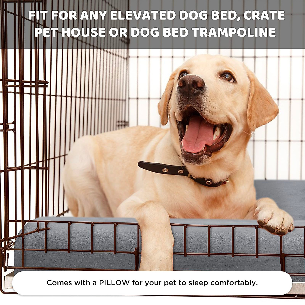 DREAMANIA Orthopedic Dog Bed for Medium, Large and Extra Large Dogs, Luxury Foam Pet Bed Mat with Durable Removable Cover, Non-Slip Bottom, Machine Washable (XXL(50.2"x36.6"x3.7"))