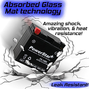 PowerStar YTX14-BS, YTX14, KMX14-BS, FTX14-BS Replacement Battery 200cca High Performance WP14-BS Sealed AGM for Powersports
