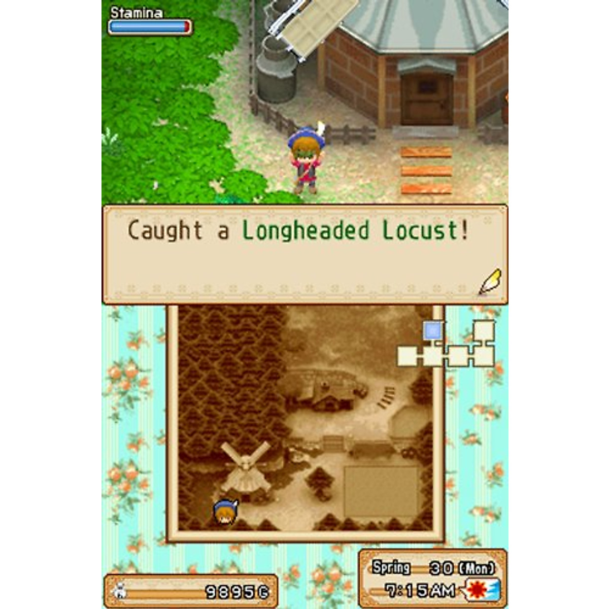 Harvest Moon: Grand Bazaar - Nintendo DS