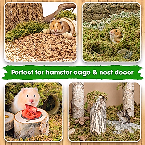 Duspro 5oz Hamster Bedding, Natural Forest Moss Bedding for Hamster, Hamster Bedding Odor Control, Decorate Hamster Hideout with Moss.