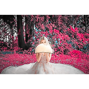 Bokehtti LED Real Wood Book Lamp (8.5 x 6.6") Includes Leather Hanging Strap and USB Cable - Versatile Reading Lantern, Photography Prop or Flashlight - Portable Light for Emergencies and Outdoor Use