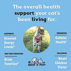 Cat Multivitamin - Promotes Healthy Skin & Coat, Joint Support, Longevity & More - Cat Vitamins - Cat Supplements & Vitamins - Cat Vitamins for Indoor Cats - Kitten Vitamins - Cat Immune Support - 1oz