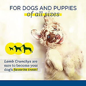 PCI Pet Center Inc. Lamb Crunchys Raw Dehydrated Lamb Lungs Dog Treats, 16 Ounce Pack, LAM-016MC