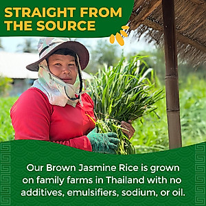 Lotus Foods Organic Brown Jasmine Rice Heat & Eat Pouch - Jasmine Rice, Gluten Free Brown Rice, Organic Rice, Instant Microwave Pre Cooked Rice, USDA Organic - 8 Oz Pouches (Pack of 6)