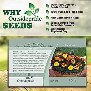 Outsidepride Tagetes Patula Outback French Marigold Garden Pollinator Flowers & Butterfly Attractant - 250 Seeds