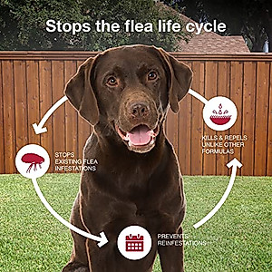 K9 Advantix II Large Dog Vet-Recommended Flea, Tick & Mosquito Treatment & Prevention | Dogs 21-55 lbs. | 2-Mo Supply