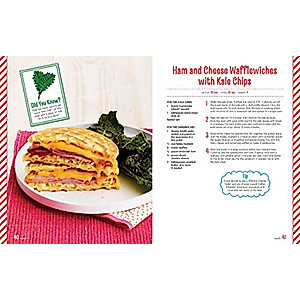 Food Network Magazine The Big, Fun Kids Cookbook: 150+ Recipes for Young Chefs (Food Network Magazine's Kids Cookbooks)