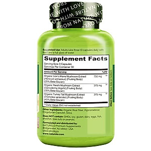 NATURELO Mushroom Supplement – Brain & Immune Health Blend with Lion’s Mane, Reishi, Turkey Tail – 90 Vegan Friendly Capsules
