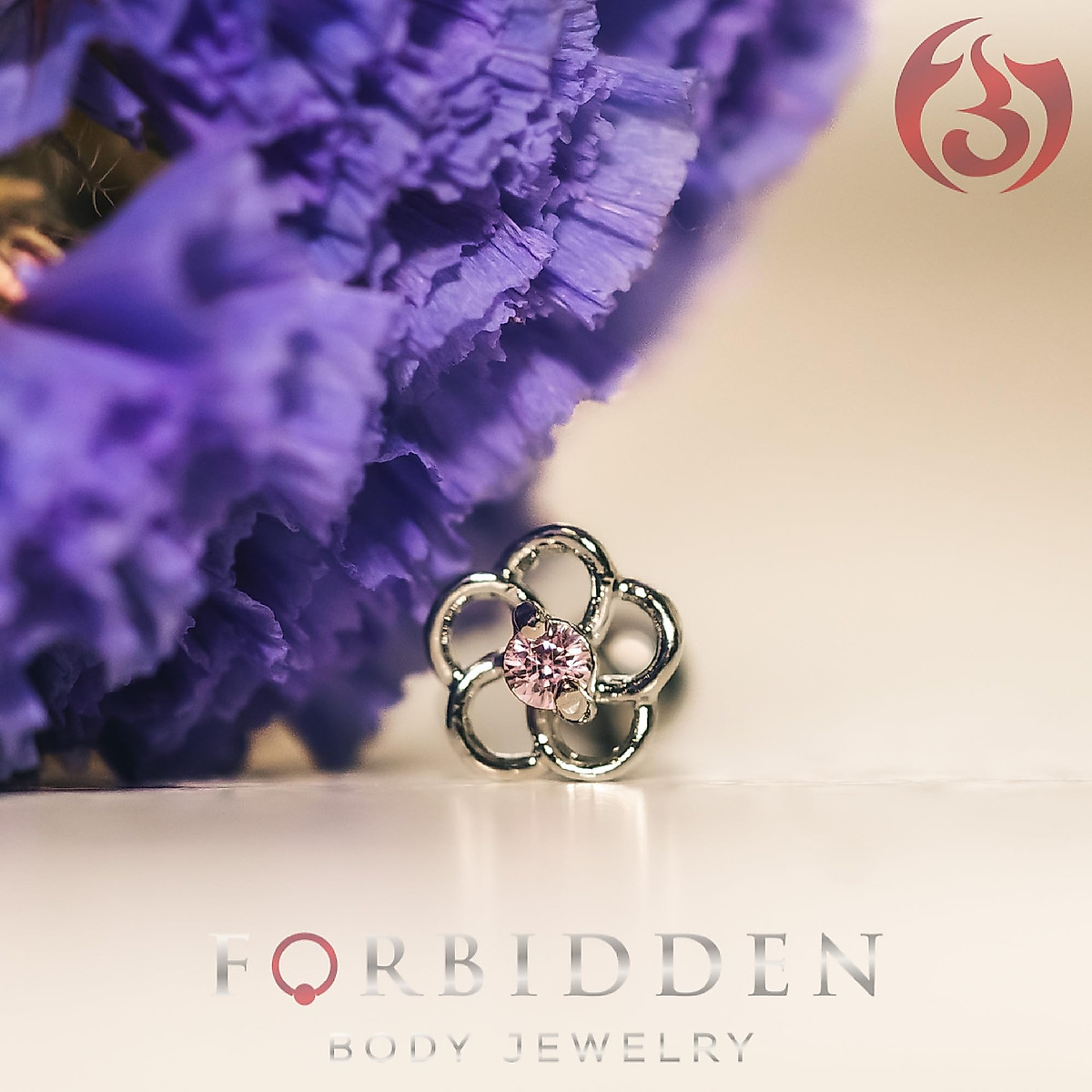 Forbidden Body Jewelry 16g 8mm Surgical Steel Tragus, Helix, Cartilage and Labret Stud with Clear CZ Centered Flower Top