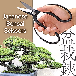 Japanese Suiryu Bonsai Scissors - Traditional Hasami Pruning Shears, Japanese Bonsai Garden Tools, Made in Japan (7.87inch)