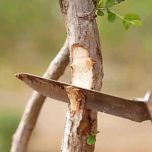 GARTOL Hori Hori Garden Knife, Garden Tools with Sheath for Weeding, Digging, Cutting and Planting, with 7" Stainless Steel Blade, Full-Tang Wood Handle with Hanging Hole and Sharpening Stone