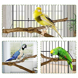 kathson Natural Parrot Perch Bird Stand Pole Wild Grape Stick Paw Grinding Fork Parakeet Climbing Standing Branches Toy Chewable Cage Accessories for Small Budgies Cockatiels Lovebirds 3PCS