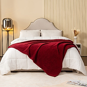 FFLMYUHUL I U Fuzzy Throw Blanket with Super Soft and Warm Throw Flannel Blanket … (Tz06-wine Red, 50" L x 60" W)