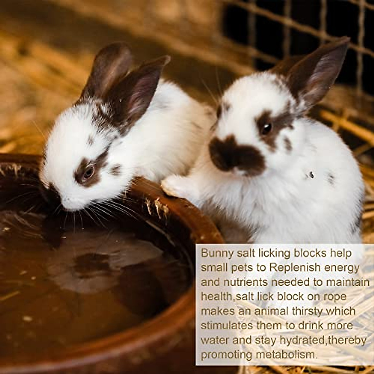 Himalayan Small Pets Lick Salt Block on Rope Natural Small Animal Mineral Salt Block Chew Toys with Hanging Rope Rabbit Mineral Salt Chew Treat Supplies for Bunny Chinchilla Hamster Ferret (8PCS)