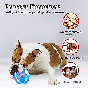 BENTOPAL Interactive Dog Toy Wicked Ball for Indoor Cats/Dogs with Motion Activated/USB Rechargeable