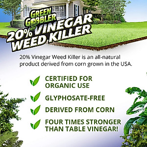 Green Gobbler 20% Vinegar Weed & Grass Killer | Natural and Organic | 1 Gallon | Glyphosate Free Herbicide | Refill