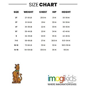 Scooby-Doo Little Boys Fleece Pullover Hoodie Brown 6