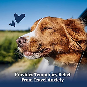 PetArmor Antihistamine Allergy Relief for Dogs, 100 Tablets