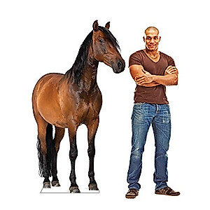 Cardboard People Horse Life Size Cardboard Cutout Standup