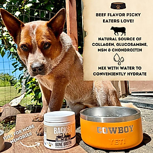 Back 40 Dogs Grass-Fed Beef Bone Broth Powder for Dogs with Probiotics, Chondroitin & Glucosamine – Supports Gut Health, Joint & Immune System – Human Grade Dog Food Toppers for Picky Eaters, 6.4oz