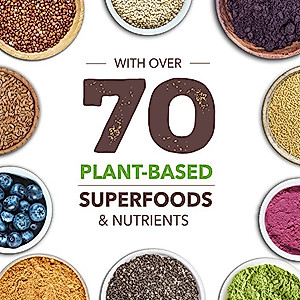 Ka’Chava Meal Replacement Shake - A Blend of Organic Superfoods and Plant-Based Protein - The Ultimate All-In-One Whole Body Meal. (Chocolate) 930g Bag = 15 meals (62g serving size)