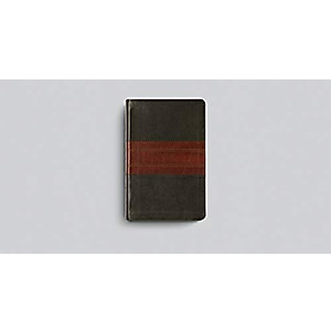 ESV Large Print Personal Size Bible (TruTone, Forest/Tan, Trail Design)