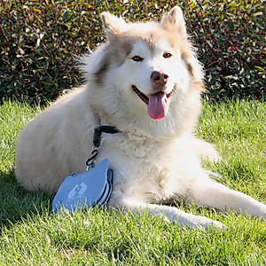 RUNROLE 2-in-1 Collapsible Silicone Dog Travel Bowls Detachable Pet Food and Water Bowl Set Portable Dog Bowls Pop Up Cat Feeding Watering Dishes，20OZ+27OZ (Slate Blue)