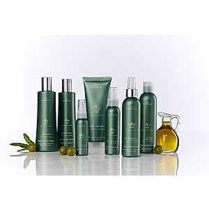 DESIGNLINE Olive Oil Shampoo - Regis Fortified with Olive Oil and Rich in Vitamins E and K to Help Protect Hair from Environmental Damage (10.1 oz)