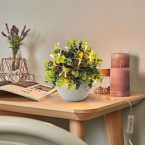 Hopewood Fake Plants Indoor Small Artificial Eucalyptus Plants in White Pots for Bedroom Home Decor Faux Plants Decor