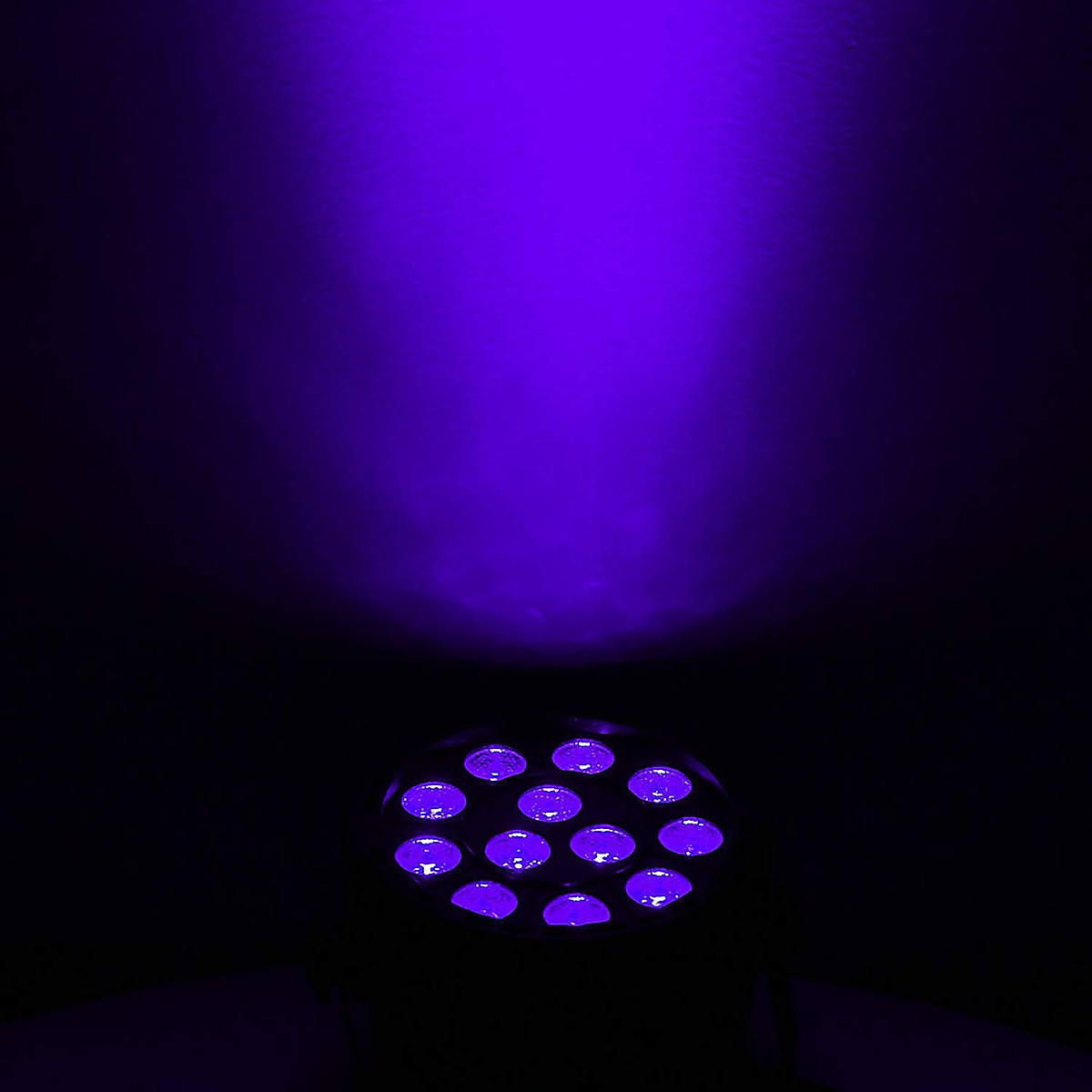 Eliminator Lighting LED Lighting, Black (MINIPARUVLED)