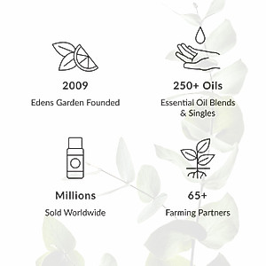 Edens Garden Fighting Five Bar Soap – Natural Cold-Processed Soap with Pure Cleansing Essential Oils for Immunity & Wellness – Handmade Vegan Aromatherapy Bar for Skin, Face & Body, 4.5 oz (127 g)