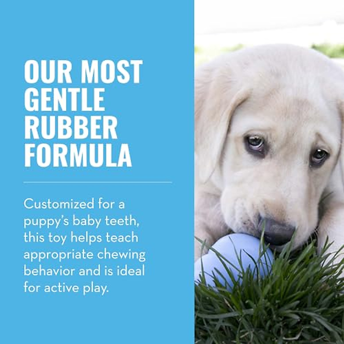 KONG Puppy - Natural Teething Rubber Chew Toy for Dogs - Stuffable Dog Toy for Extended Playtime - Chew & Fetch Toy for Puppies - for XS Puppies - Blue