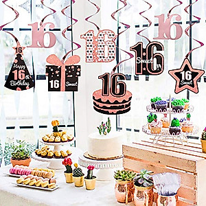 Excelloon 16th Birthday Decorations, 8Pcs 16 Foil Hanging Swirls, Sweet 16 Birthday Hat Cake Present Star Decorations, Happy 16th Birthday Party Supplies (Rose Gold)