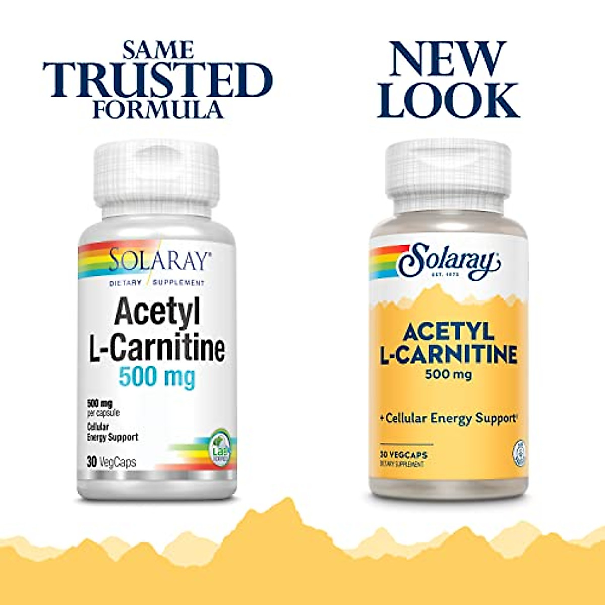 SOLARAY Acetyl L-Carnitine 500 mg | Healthy Cellular Energy, Memory, Mood, and Cardiovascular Support | 30 VegCaps