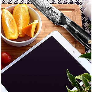 DDAUOSG Paring Knif 3.5 inch Japanese VG10 Super Steel 67 Layer High Carbon Stainless Damascus Steel Peeling Utility knives