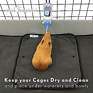 Paw Inspired Washable Guinea Pig Cage Liners | Fleece Bedding for Guinea Pigs Ferrets, Rabbits, Hamsters, Small Animals | Bamboo Charcoal Odor Controlling Absorbent Pee Pads (12" x 12", 2 ct.)