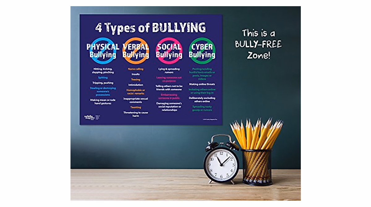 4 Types of Bullying Poster - Laminated, 17 inches x 22 inches ...