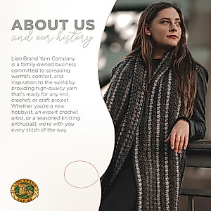 (1 Skein) Lion Brand Yarn Ferris Wheel Yarn, Cotton Candy